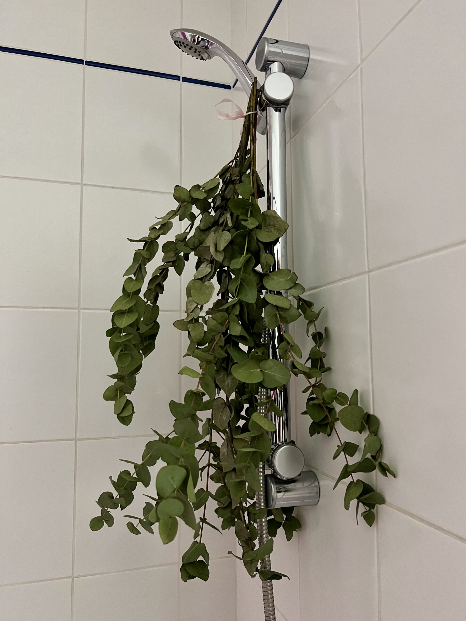 Everything Shower Routine: The Ultimate Step-by-Step Guide - Achieve ...